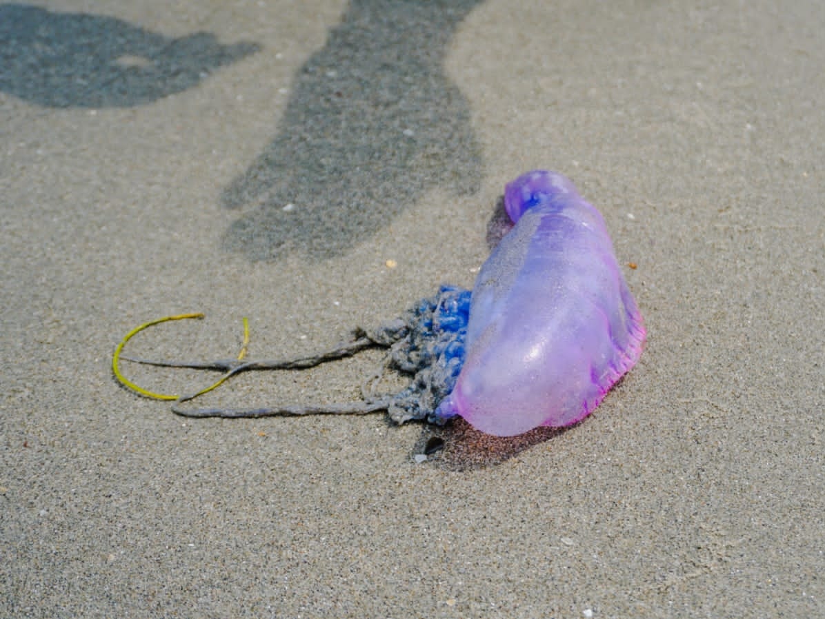 Alertan por presencia de agua mala en las playas - Visor Caribe