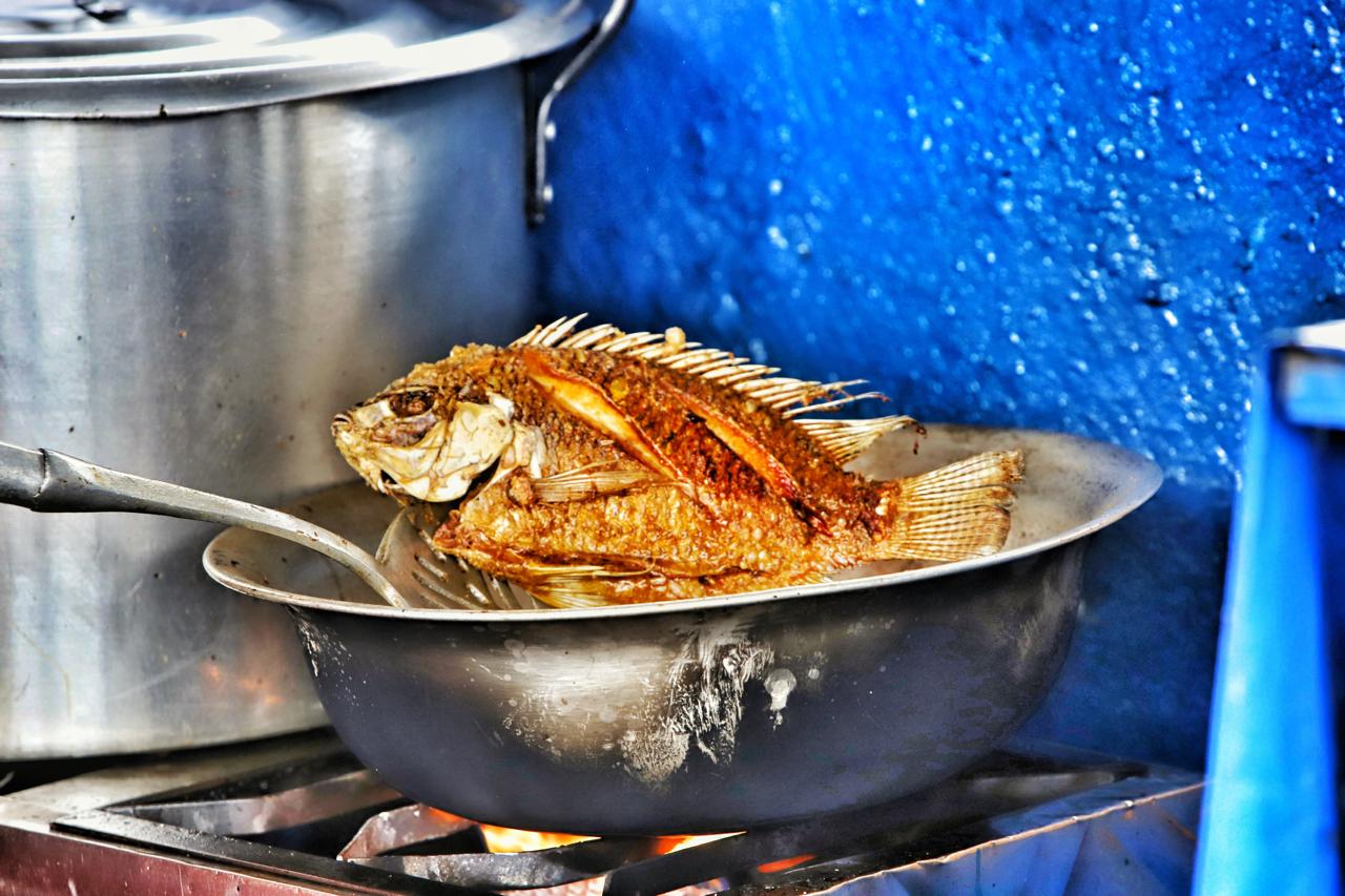 ¡Qué delicia! Arrancó el Festival del Bocachico en Magangué - Visor Caribe